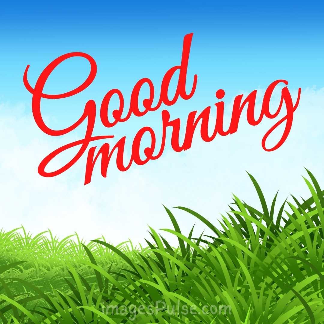 {25+ Free} Good Morning Images Download for Whatsapp, Facebook ...