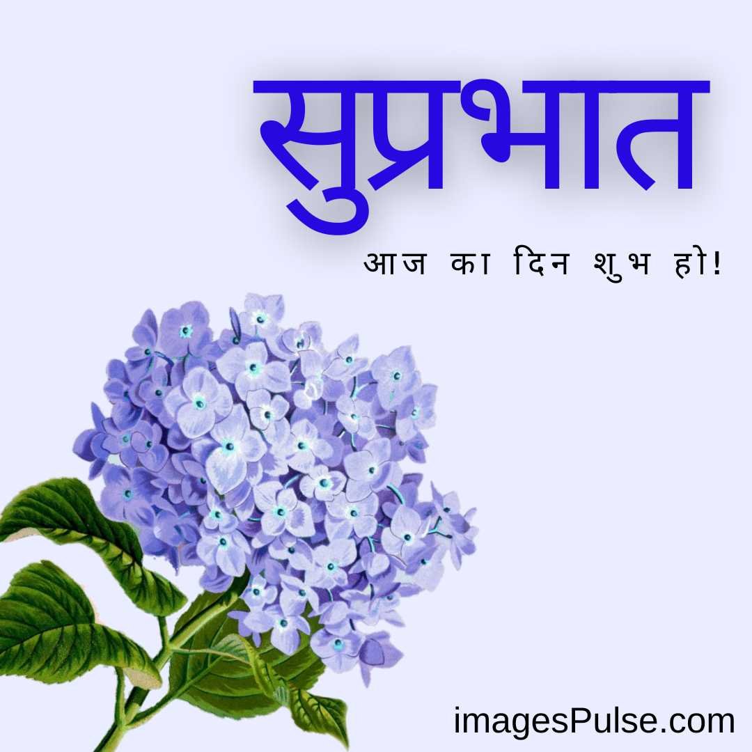 20+ Good Morning Images in Maithili & Hindi Language, Suprabhat Pranam ...