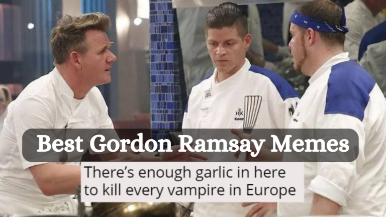 16 Gordon Ramsay Memes Which You Make Laugh - imagesPulse