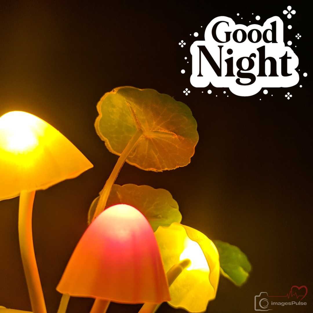 Special Good Night Images | Free Good Night Images 2025 - imagesPulse