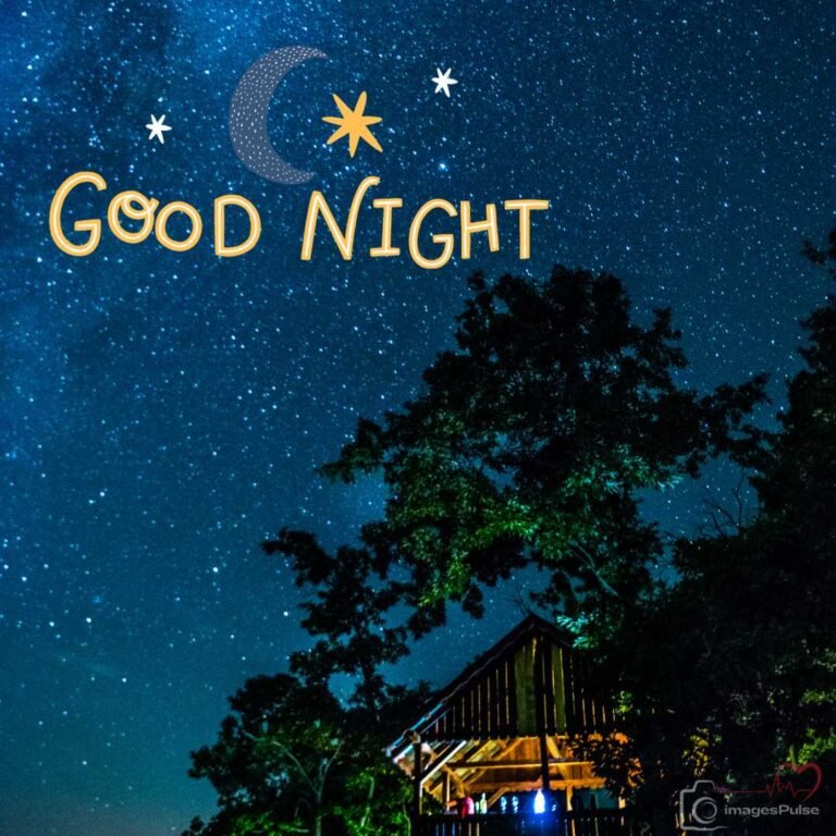 Special Good Night Images | Free Good Night Images 2025 - imagesPulse