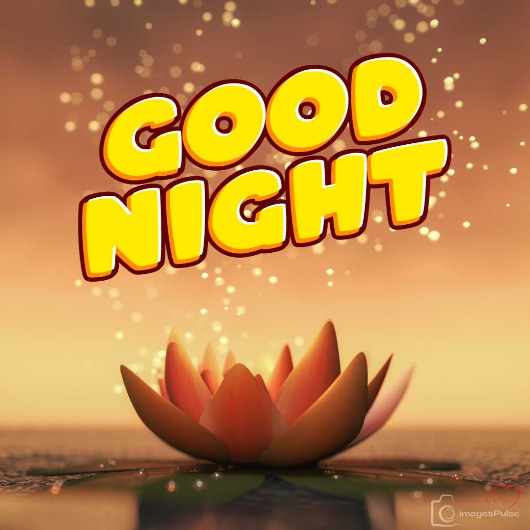 Special Good Night Images | Free Good Night Images 2025 - imagesPulse